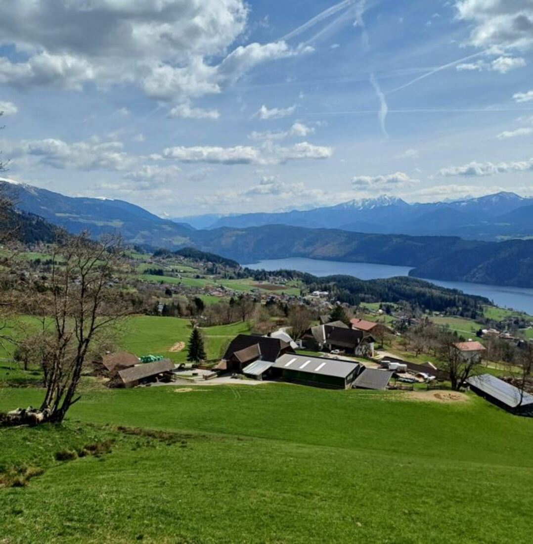 Dedovanje kmetijskih gospodarstev - obcina.kranjska-gora.si